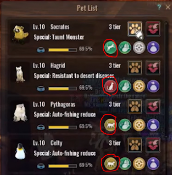 Black Desert Online Pets Guide - mmosumo