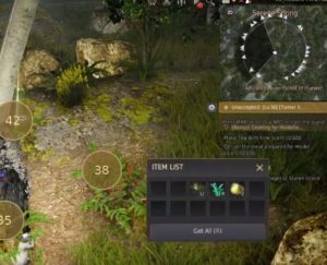 BDO Powerlevel Every Life Skill Fast Leveling Guide