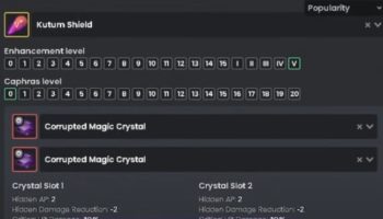 BDO BIS Crystal Endgame Setups(DR & Evasion for PvE & PvP)