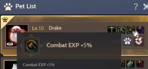 BDO Leveling Guide 61-64+ With Zones and Buffs - mmosumo